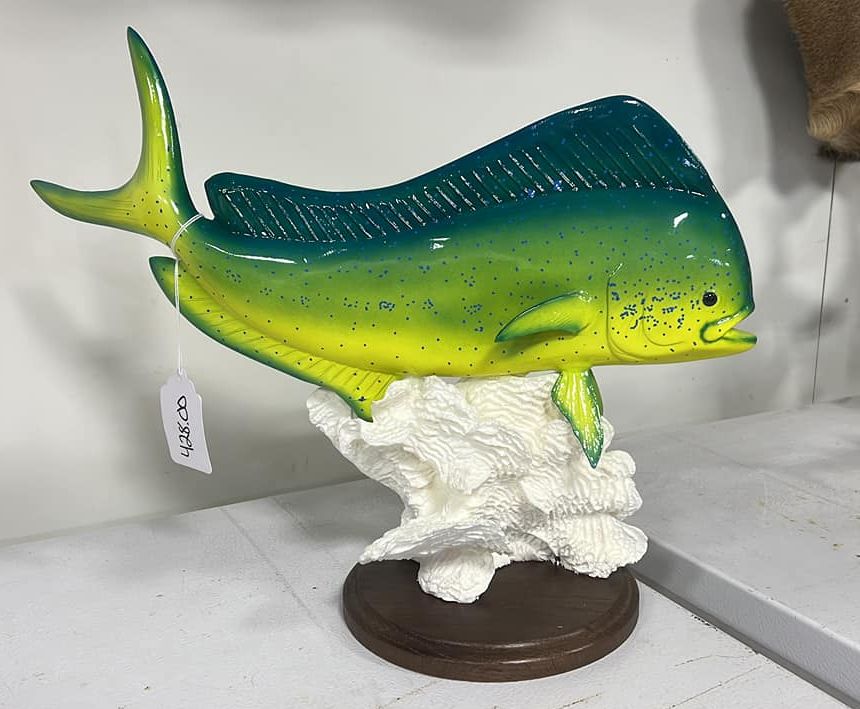 About Us and our Fish Mounts – Pelagics Unlimited | Replica Fish Mounts ...