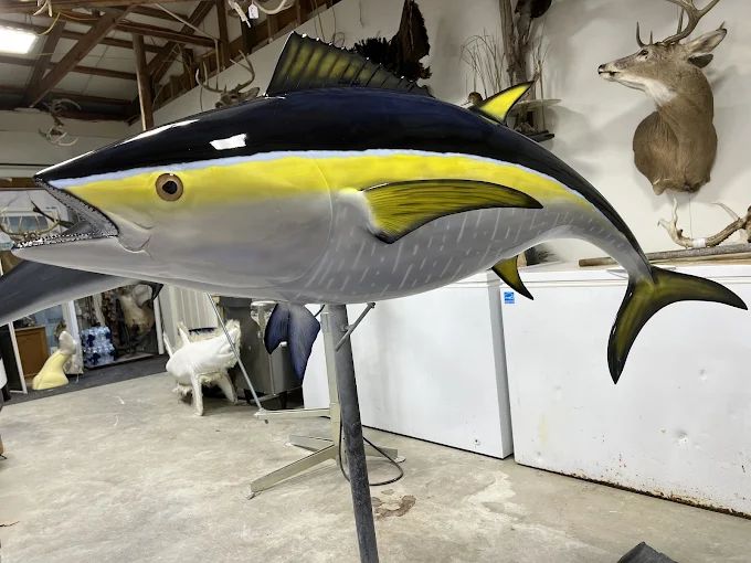 Services | Fish Mounts | Replica Fish | Trophy Fish Mounting – Pelagics ...